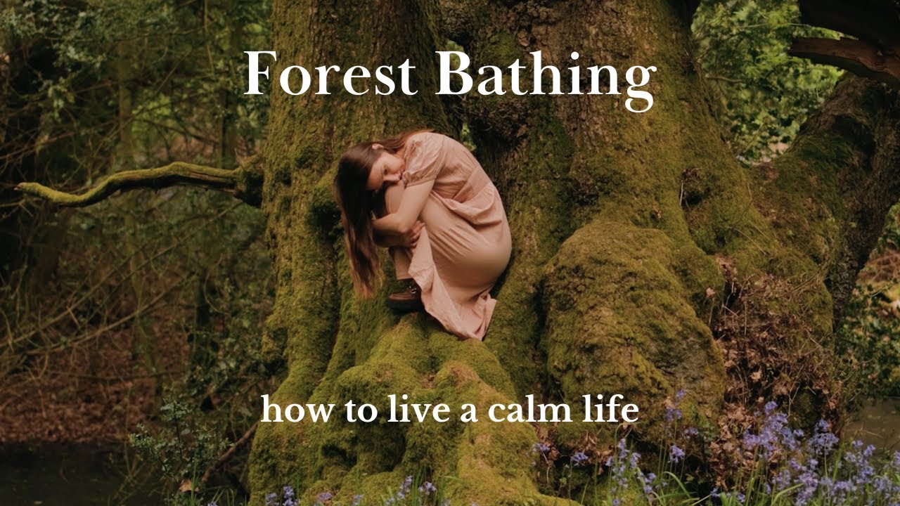Forest Bathing - How To Find Slow Moments of Calm in a Busy Life - YouTube