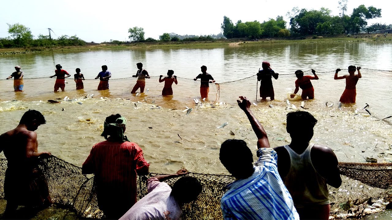 Wow! Amazing Indian Tribe People Catching Fish by Using Net | Net ...