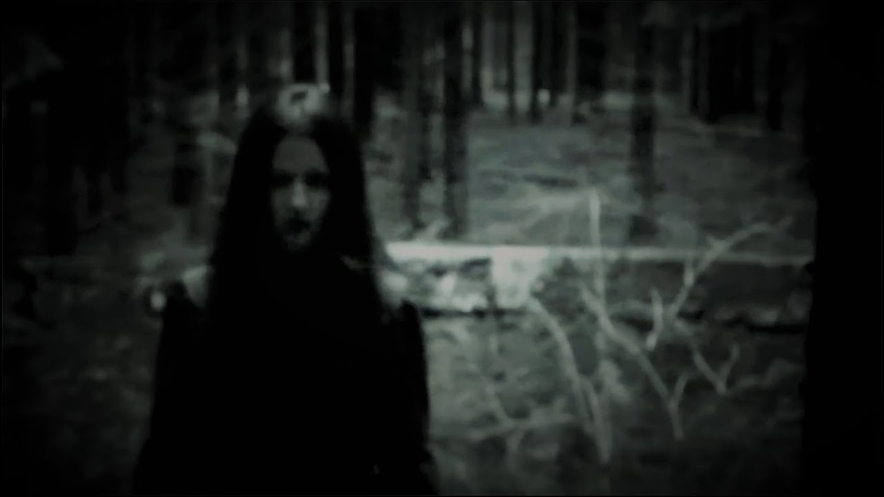 3 Creepy Forest Horror Stories [Paranormal / Creature Encounters & MORE ...