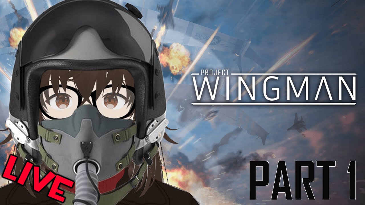 [LIVE] Project Wingman! Part 1! | I figured out how to stream in VR ...