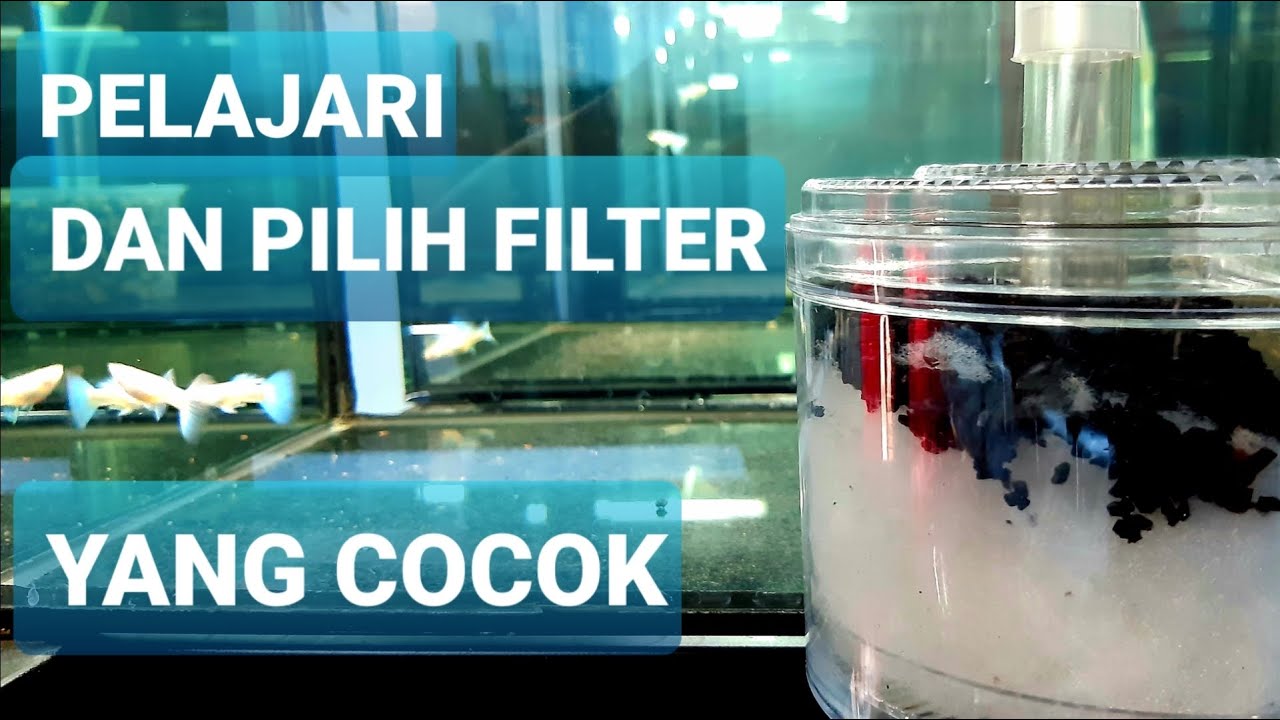 MURAH MUDAH BIKIN PUAS , FILTER MULTI CORNER - YouTube
