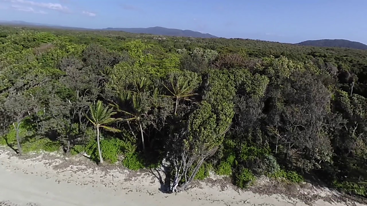 Chilli Beach Cape York - YouTube