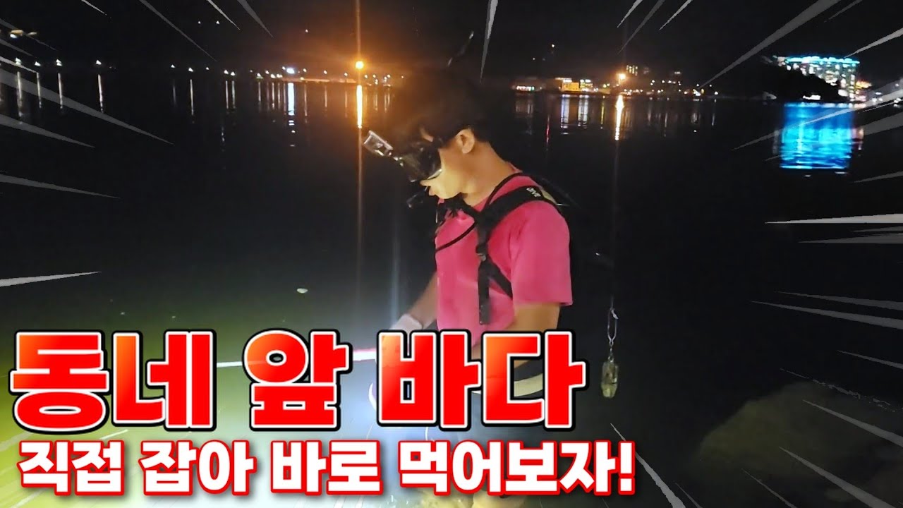 동네 앞 바다에 직접들어가서 닥치는데로 잡아서 먹어보자 Youtube