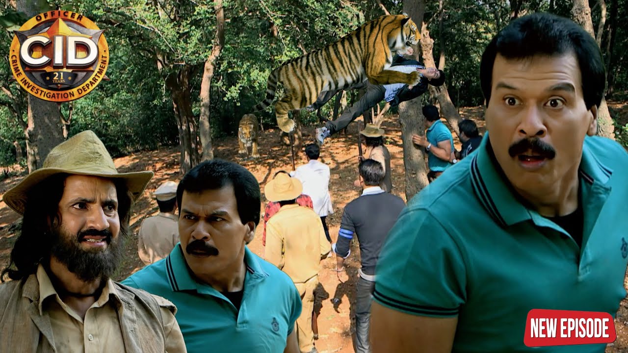CID vs Tiger – बच्चों की जान के लिये जंगल में हुआ आमना-सामना || CID ...