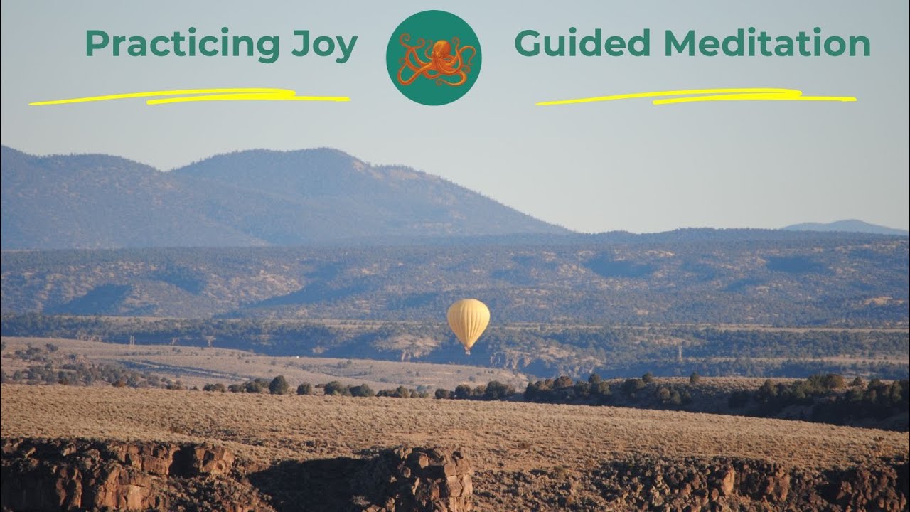 Practicing Joy Guided Meditation - YouTube