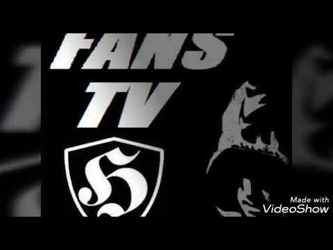 FANS TV -WRWE GANG