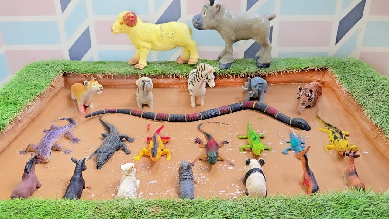 A Fun and Simple Introduction to Forest Animals, Insects, and Scaly ...