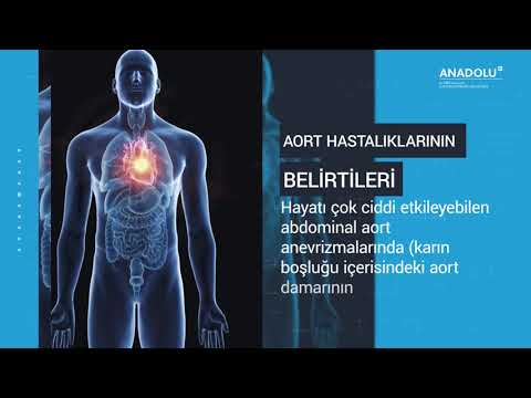 Aort hastalıkları nelerdir?
