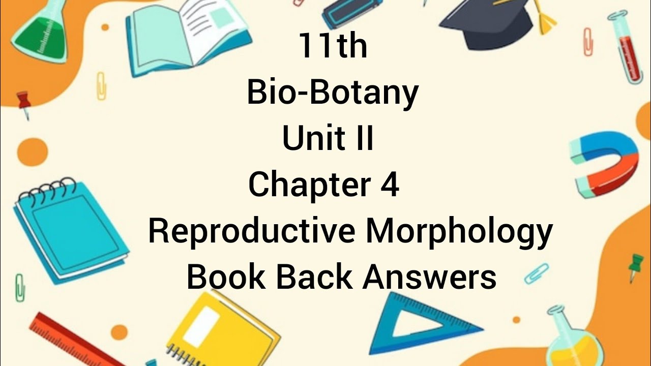 11th|Bio-Botany|Unit II|Chapter 4|Reproductive Morphology|Book Back ...
