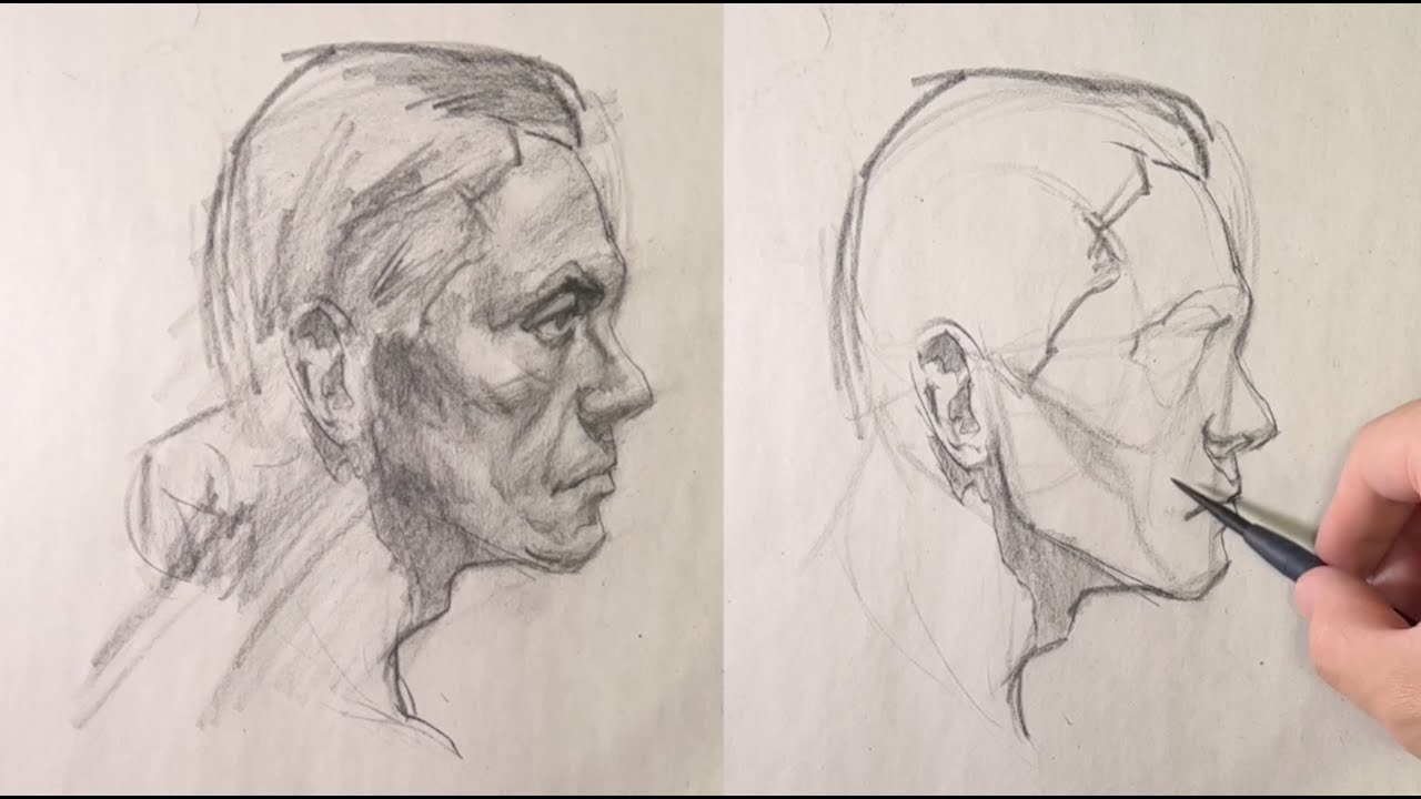 Portrait Profile View, 15-min drawing in 2-min timelapse - YouTube