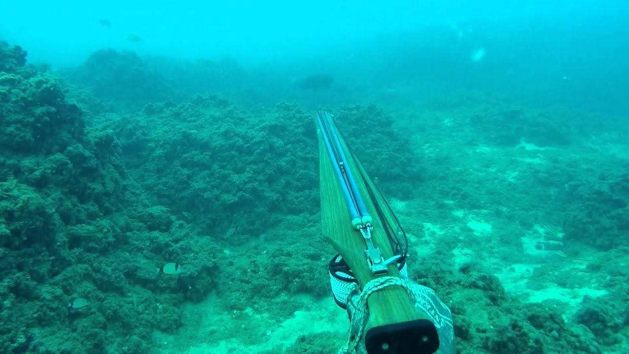 Spearfishing in Israel - SeaWolf Predator 105 - Uri Binsted - YouTube
