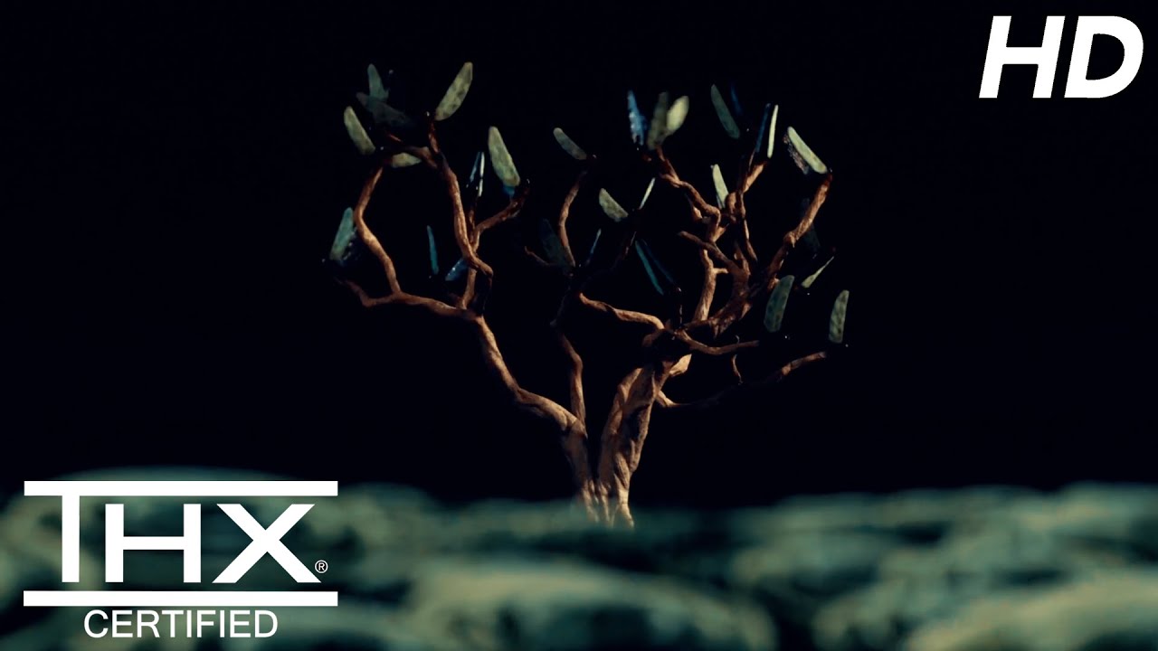 THX: Amazing Life [HD 1080p] - YouTube