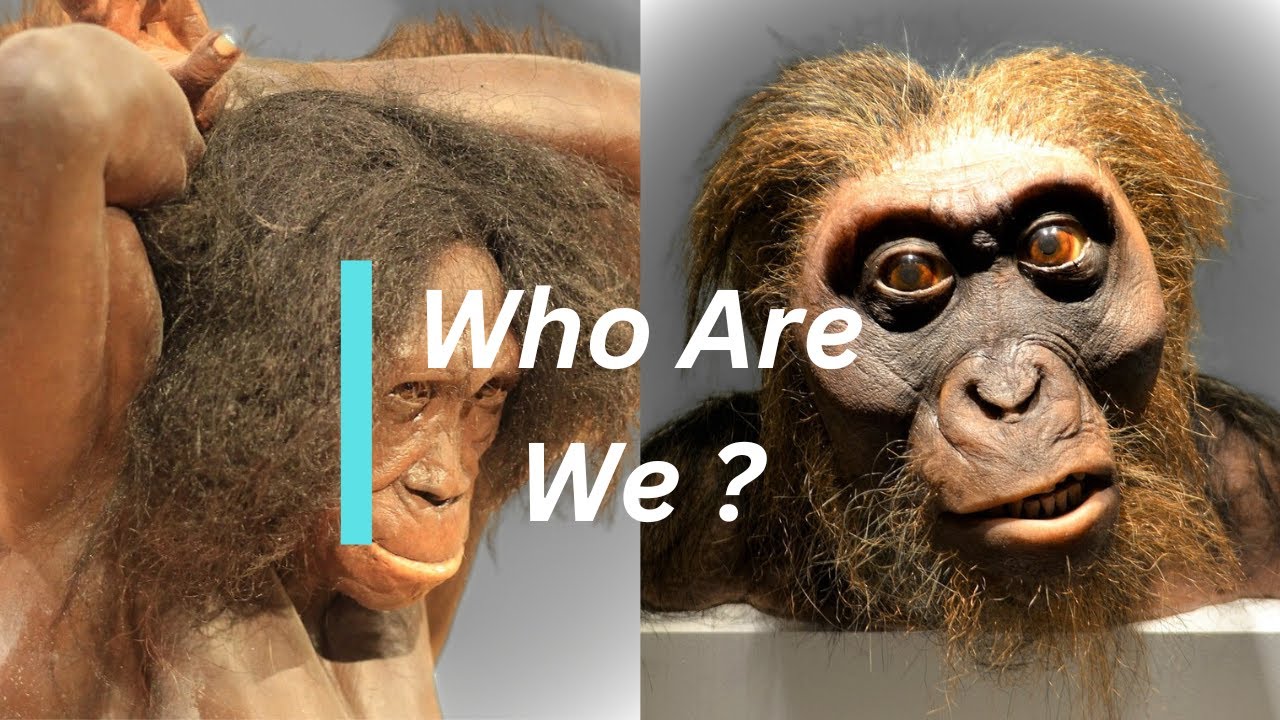 THE NEANDERTHALER AND THE RHODESIAN MAN | A Short History of the World ...