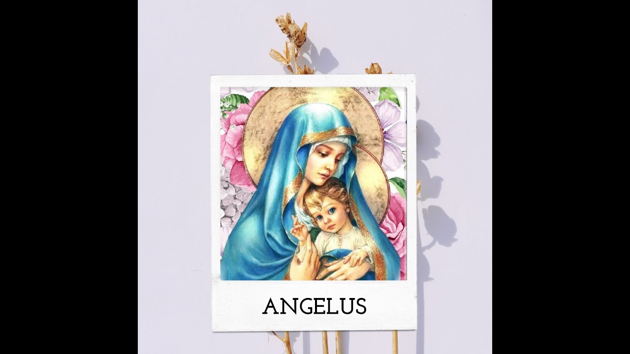 ANGELUS DE HOY 21 DE MAYO A NUESTRA SEÑORA - YouTube