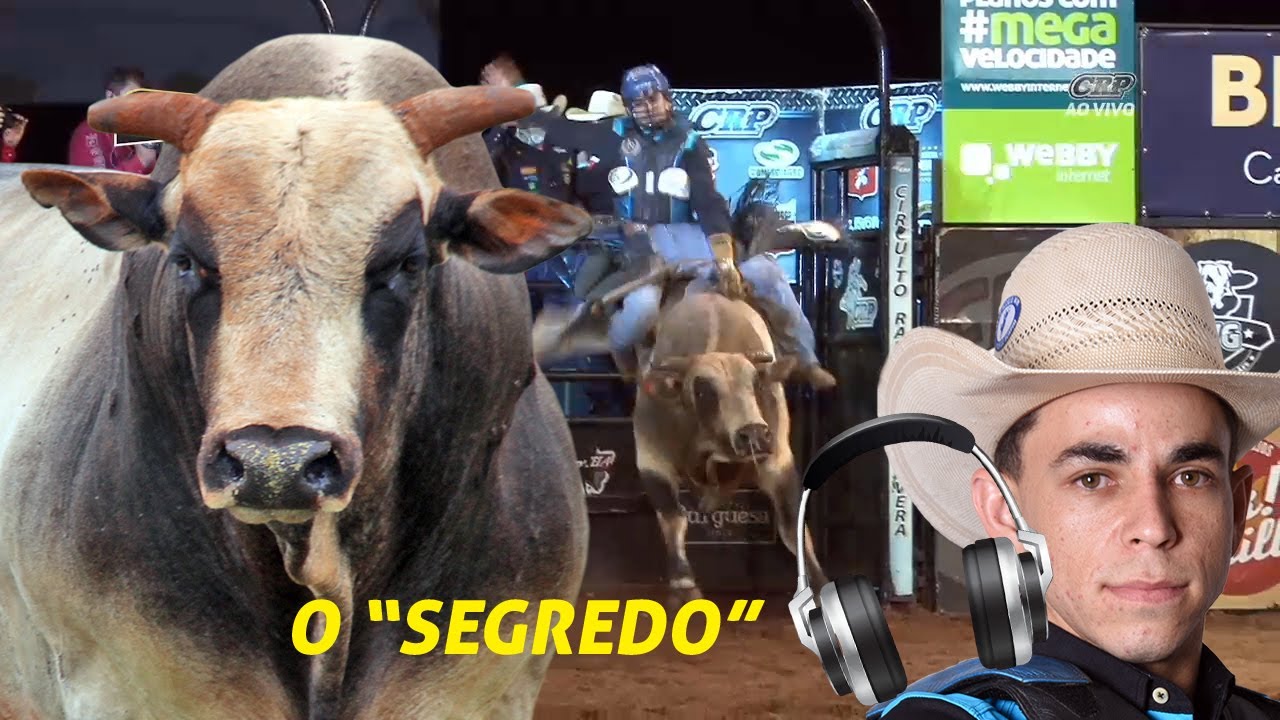O "segredo" pra vencer o TOURO BICHO MINEIRO! - YouTube