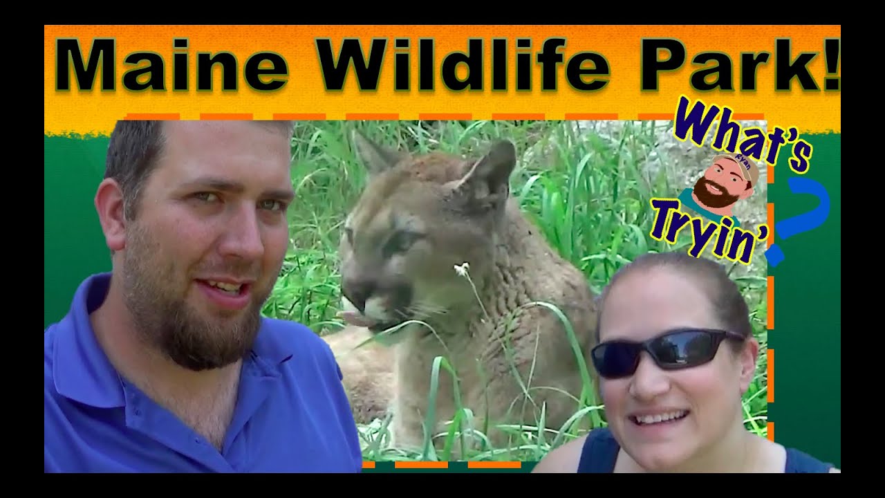 Wildlife Park | Moose Sprinklers and Sanitary Water Fountains | Jen and ...