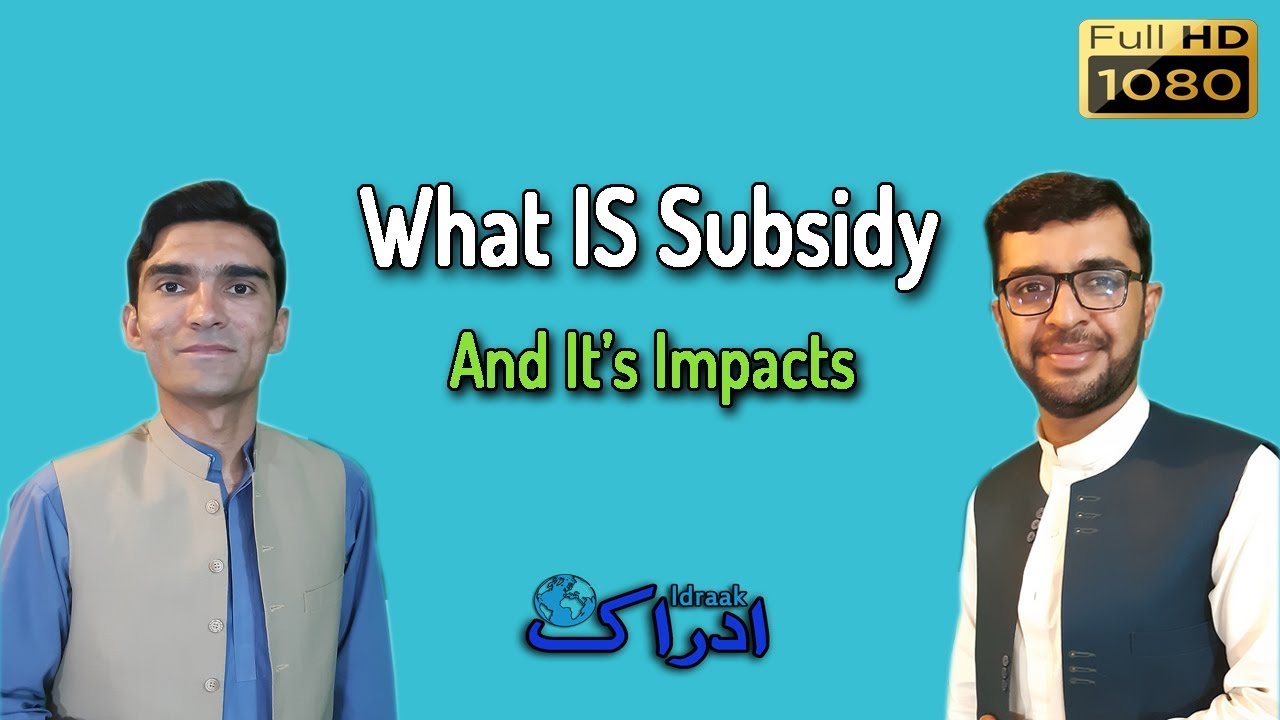 What is Subsidy and it's impacts | Subsidy benefits - YouTube