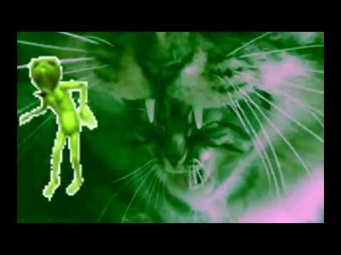 AYY LMAO
