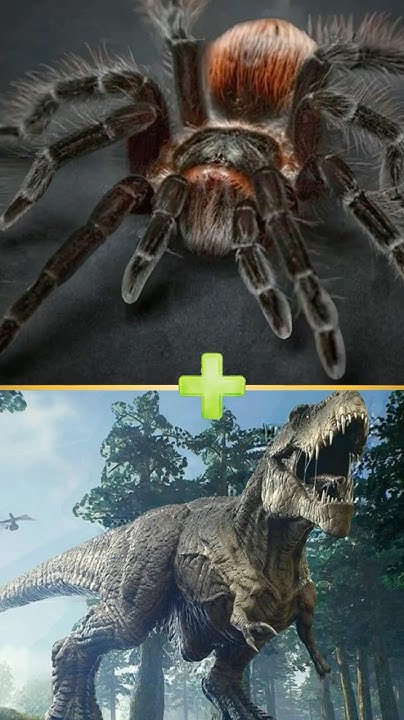 Spider + T-rex, Crocodile, Iguana, Butterfly, Zebra, Black Panther ...
