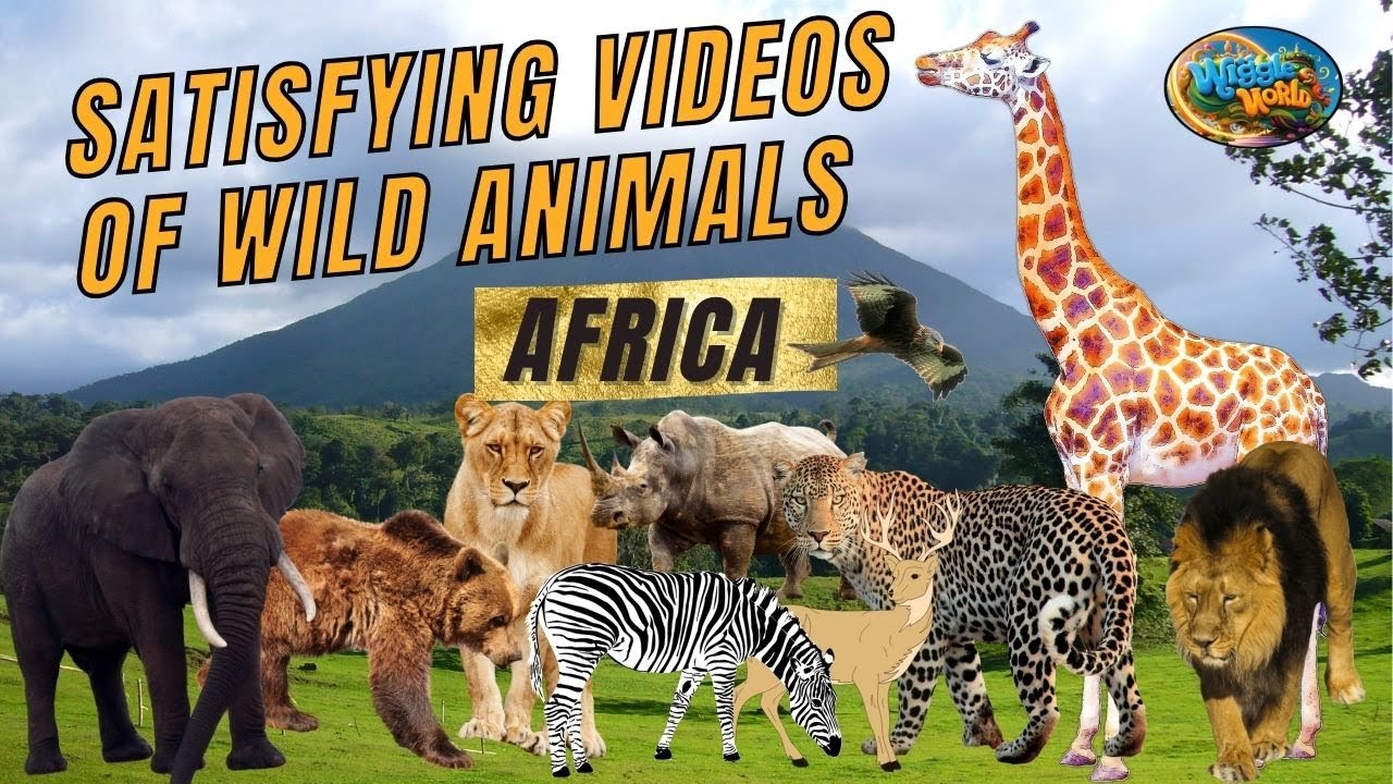 Satisfying Videos of Wild Animals in Nature 4K 🌿🦁 | Relaxing and ...