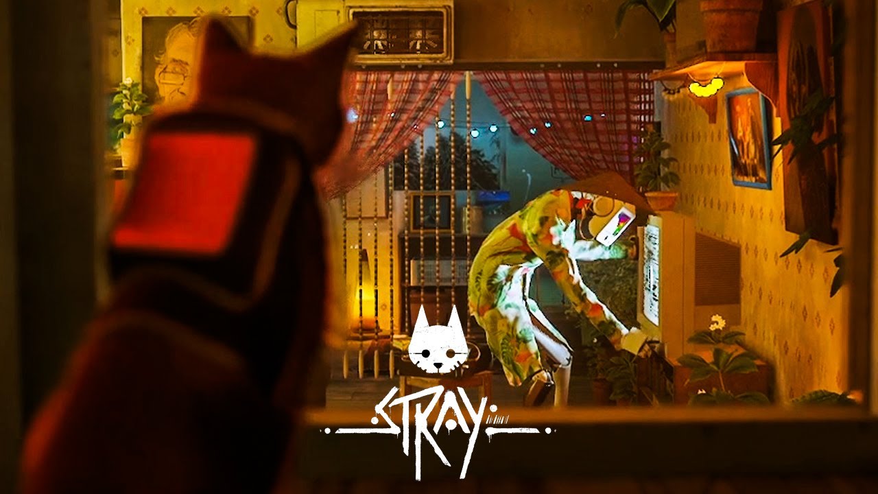 Finding Momo | Let’s Play Stray Part 2 - YouTube