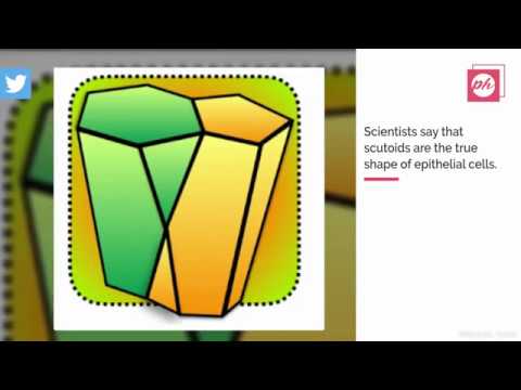New Shape Discovered by Scientists - YouTube
