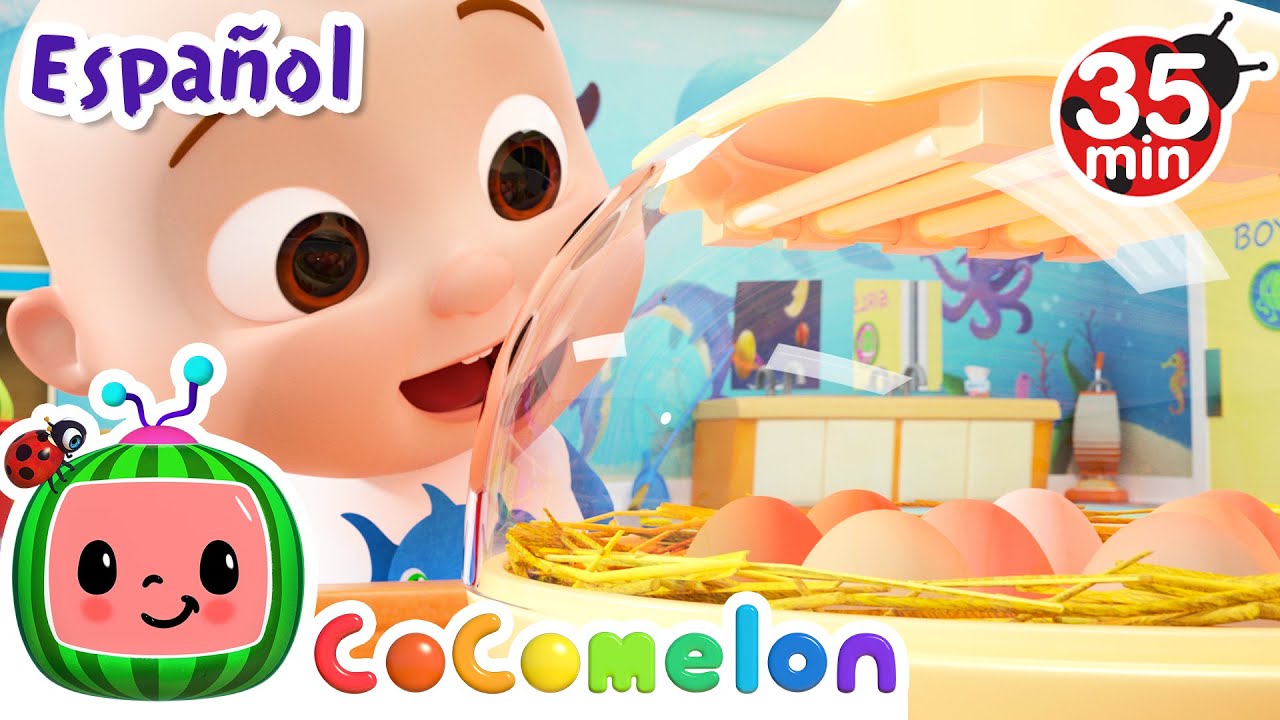 CoComelon en Español | Aprendiendo los Los números | Compilación de ...