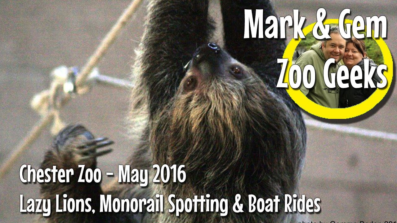 Mark & Gem - Zoo Geeks - Chester Zoo May 2016 - YouTube