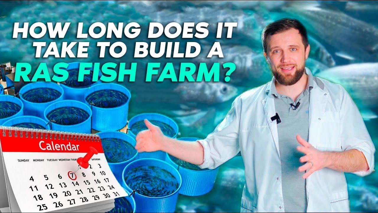 How much TIME is needed to build a RAS FISH FARM? | How to set up YOUR ...