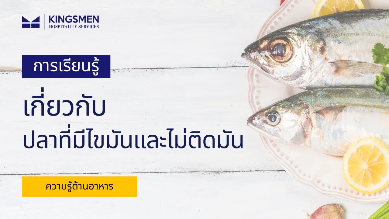 ปลาที่มีไขมันและไม่ติดมัน | Fatty And Lean Fish - YouTube