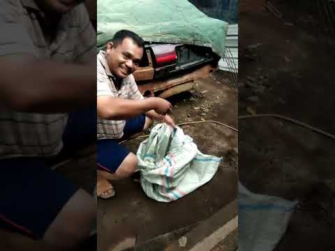 Buka Celengan Besi lagi, untuk membeli pakaian seragam sekolah dan bayar uang sekolah Aghia 12/11/22