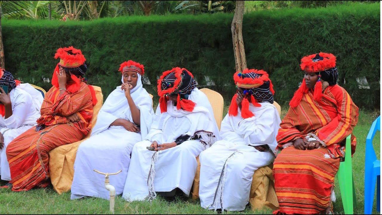 Fanaanada Qaliga ah Safiyo Maxamed Dahir Waa qoftii shidey Hidaha iyo ...