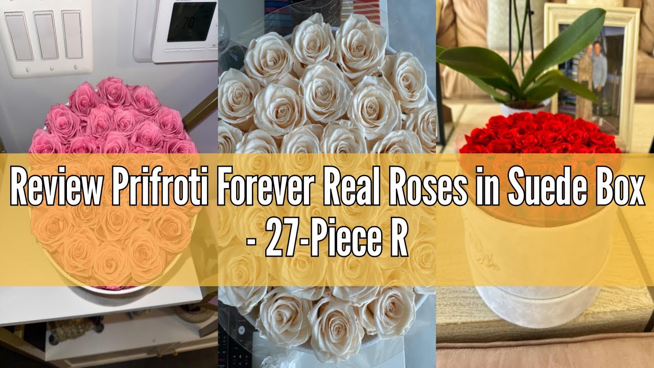 Review Prifroti Forever Real Roses in Suede Box - 27-Piece Roses in a ...