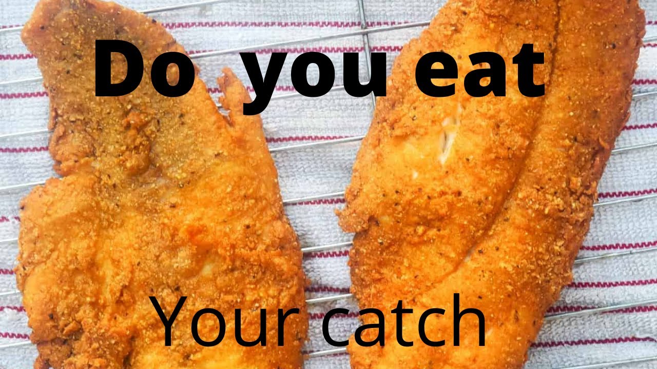 Do you eat your catch. - YouTube