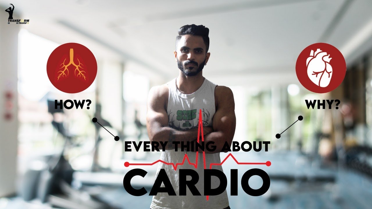 How Cardio Works? Science Behind Cardiovascular system |How & Why To ...