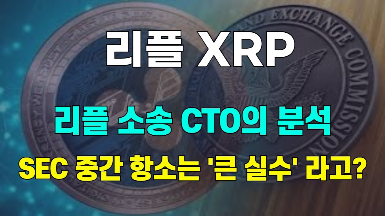 리플 Xrp 리플 소송 Cto의 분석 Sec 중간 항소는 큰 실수 라고 Youtube
