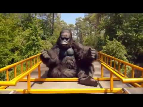 Sen Sağ Ben Selamet   Fragman