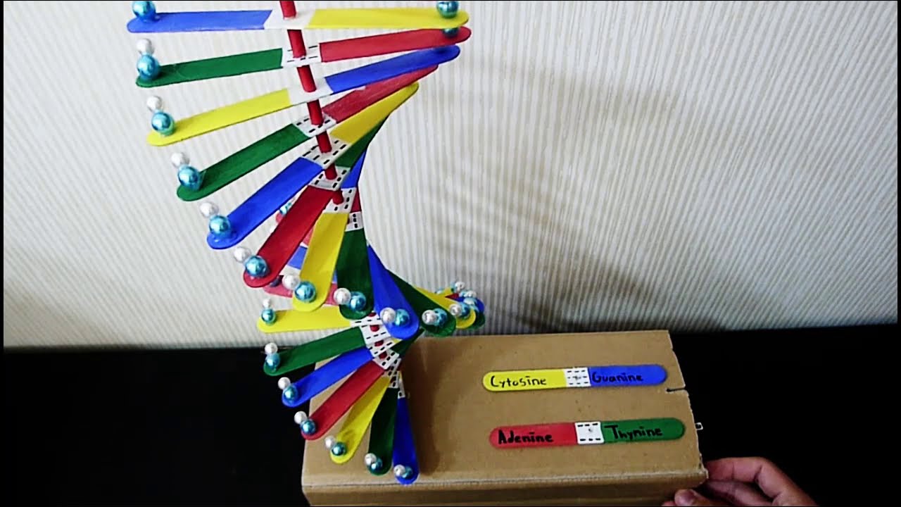 Biology DNA 3D Module - YouTube
