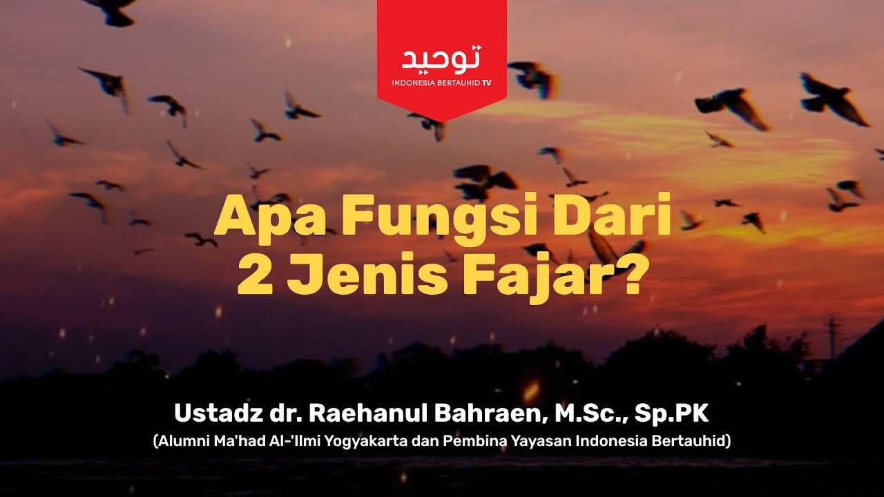 Apa Fungsi dari 2 Jenis Fajar - YouTube