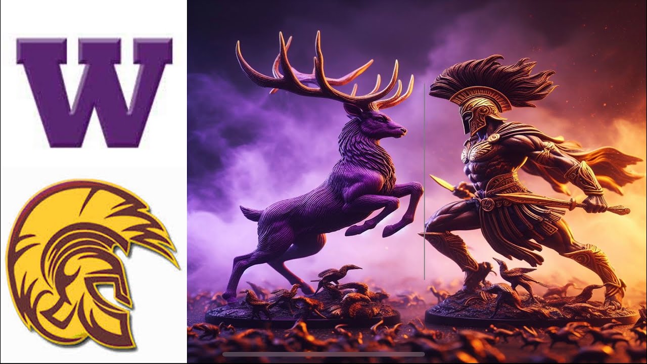 PIAA Baseball highlights Wallenpaupack VS Wyoming Valley West: 3/28/24 ...