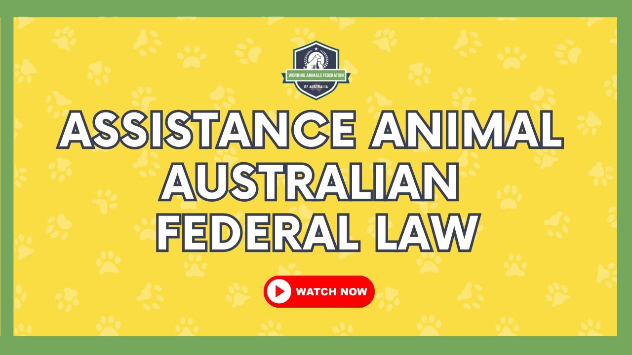 Assistance Animal Australian Federal Law - YouTube