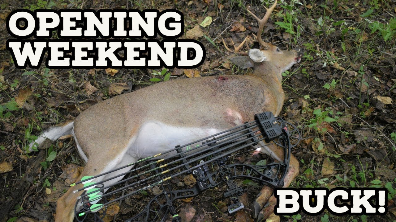 OPENING WEEKEND Archery Buck on Public Land! (10 Yard DOUBLE LUNG Shot ...