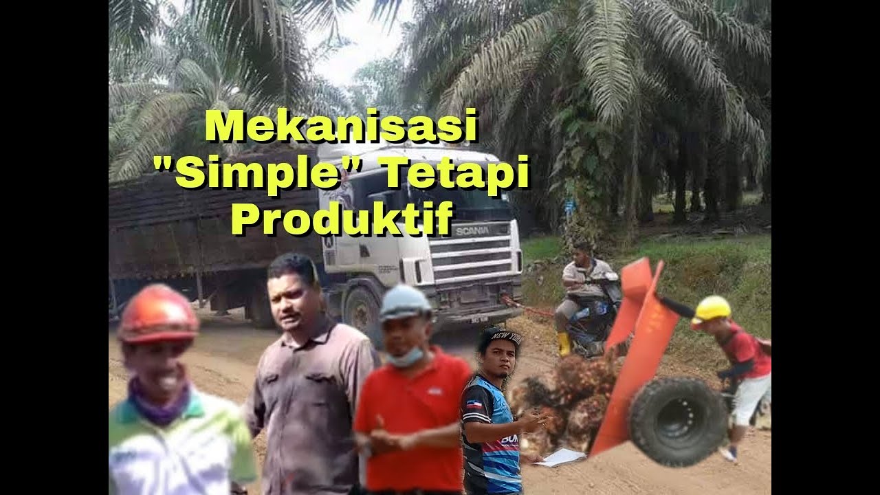 Mekanisasi di Ladang Kelapa Sawit Menggunakan Mesin "Simple" Namun ...