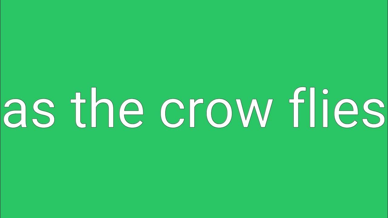As The Crow Flies Definition Meaning YouTube as-the-crow-flies-definition-meaning-youtube