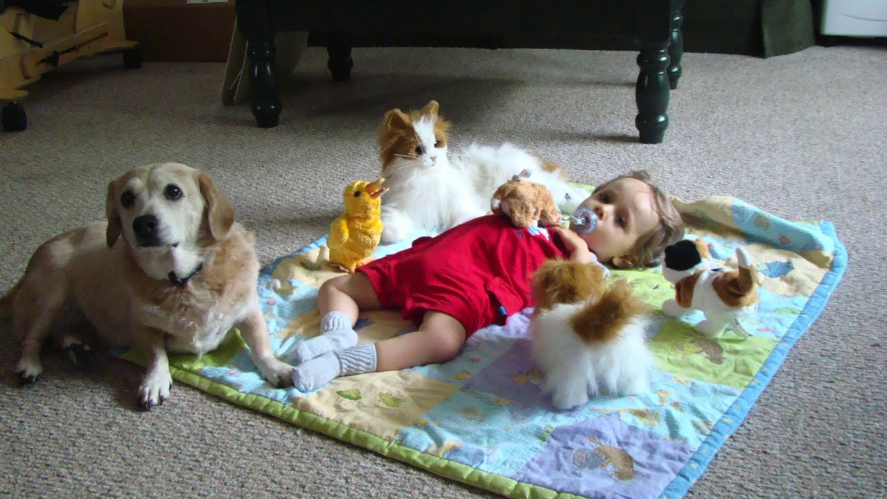 SMA Type 1, medically complex, rare disease/These parents share their ...