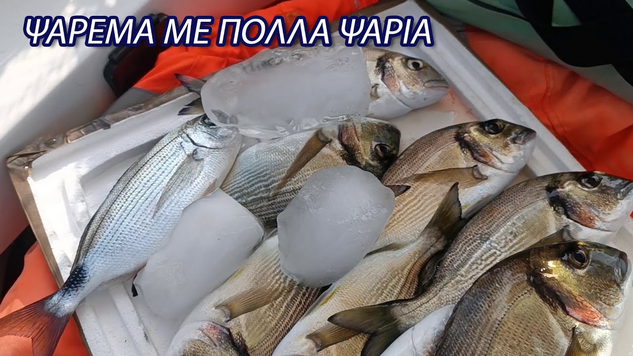 ΨΑΡΕΜΑ ΜΕ ΠΟΛΛΑ ΨΑΡΙΑ - YouTube