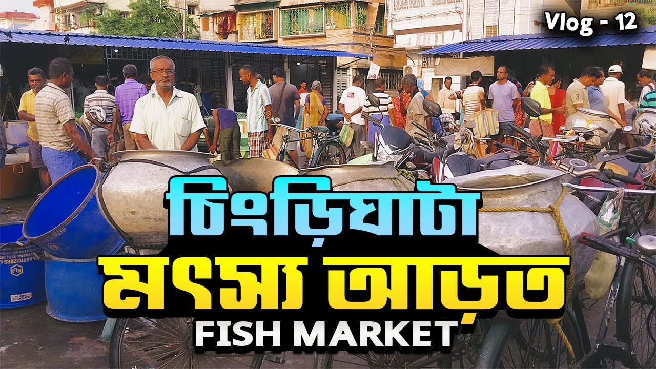 মাছের ব্যাবসা করার পদ্ধতি । চিংড়িঘাটা মৎস্য আড়ত । Fish Business ...