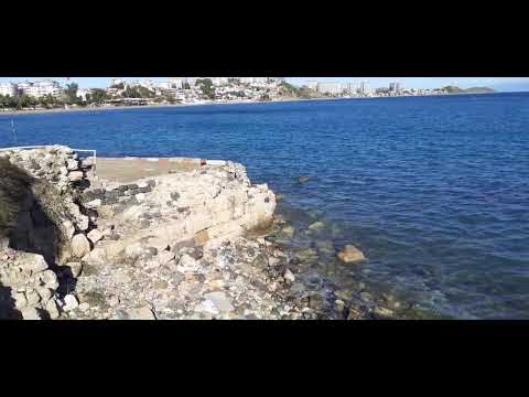 adana yumurtalik- aralik- 2019