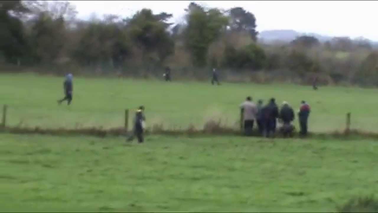 Fleeing hares’ terror and trauma prolonged - YouTube