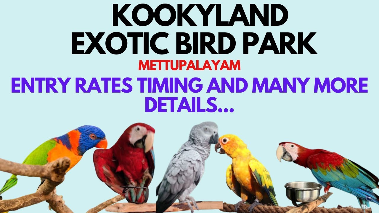 Kookyland Kookie Land Mettupalayam Coimbatore Exotic Birds Park ...